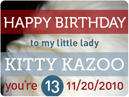 happy 13th birthday kitty kazoo – parlato design studio